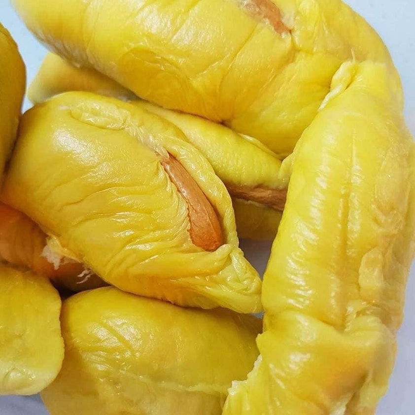 AA Musang King Frozen Wholefruit Durian D197 – Fishcitysydney