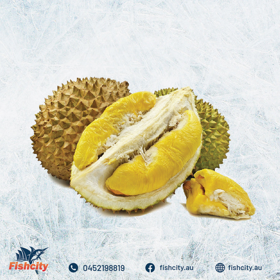 AA Musang King Frozen Wholefruit Durian D197 – Fishcitysydney