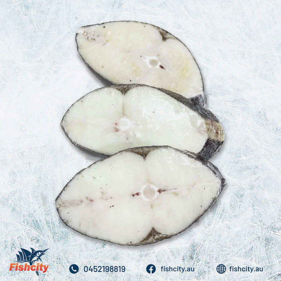 Snow Fish from Taiwan – Fishcitysydney