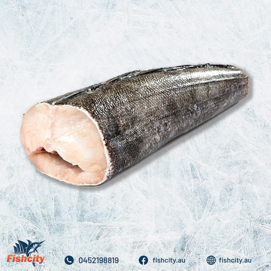 Glacier 51 Toothfish - Whole – Fishcitysydney