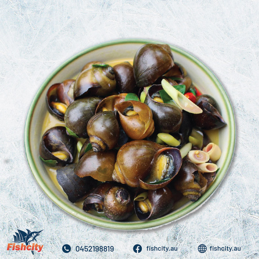 Steamed Apple Snails – Fishcitysydney