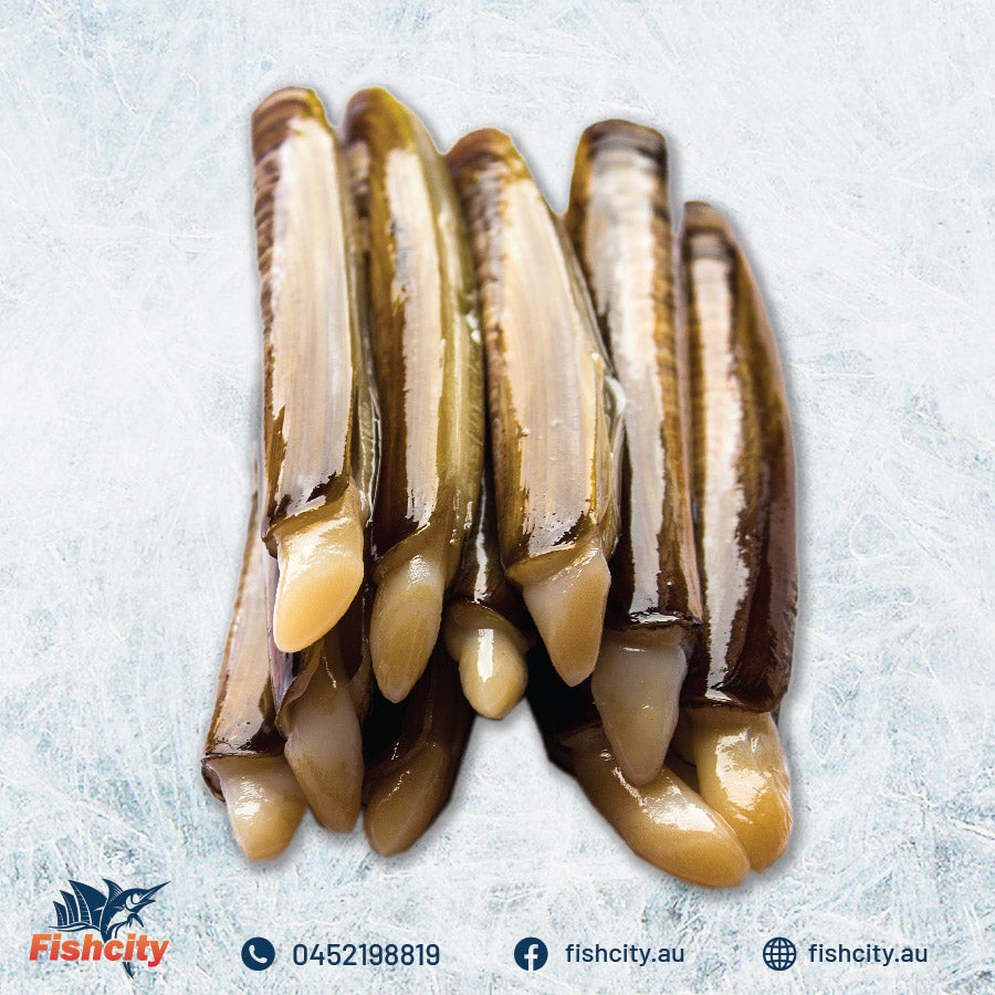 Razor Clams – Fishcitysydney