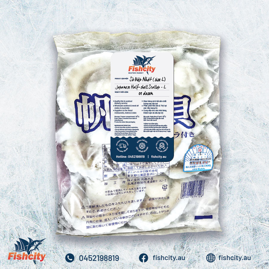 Japanese Half-shell Scallop Large – Fishcitysydney