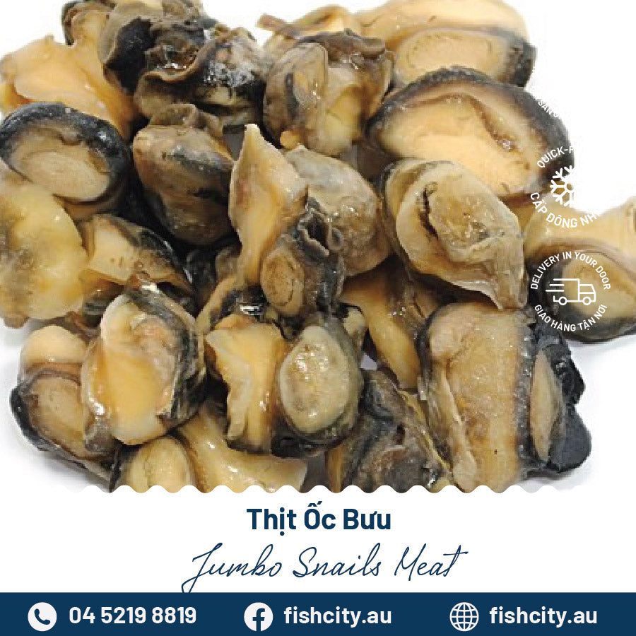 Jumbo Snails Meat – Fishcitysydney