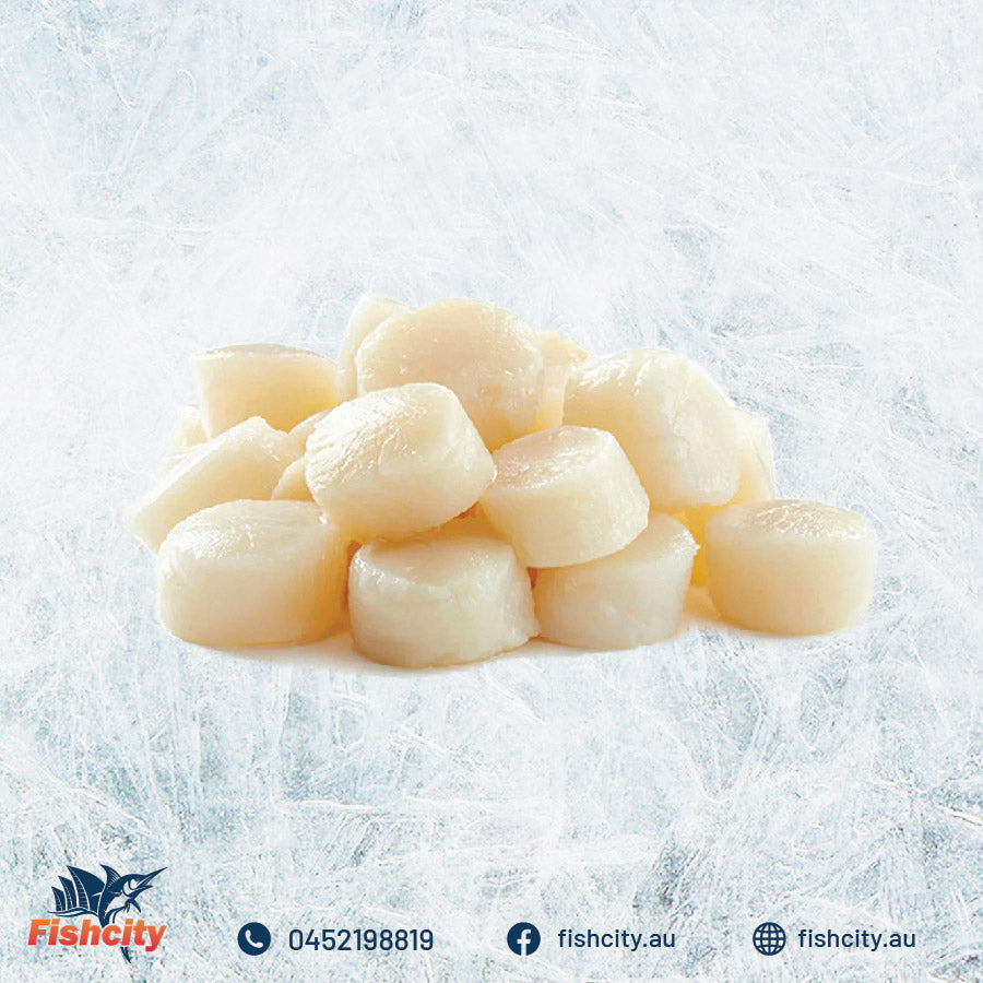 Japanese Scallop Meat Size U10/20 – Fishcitysydney