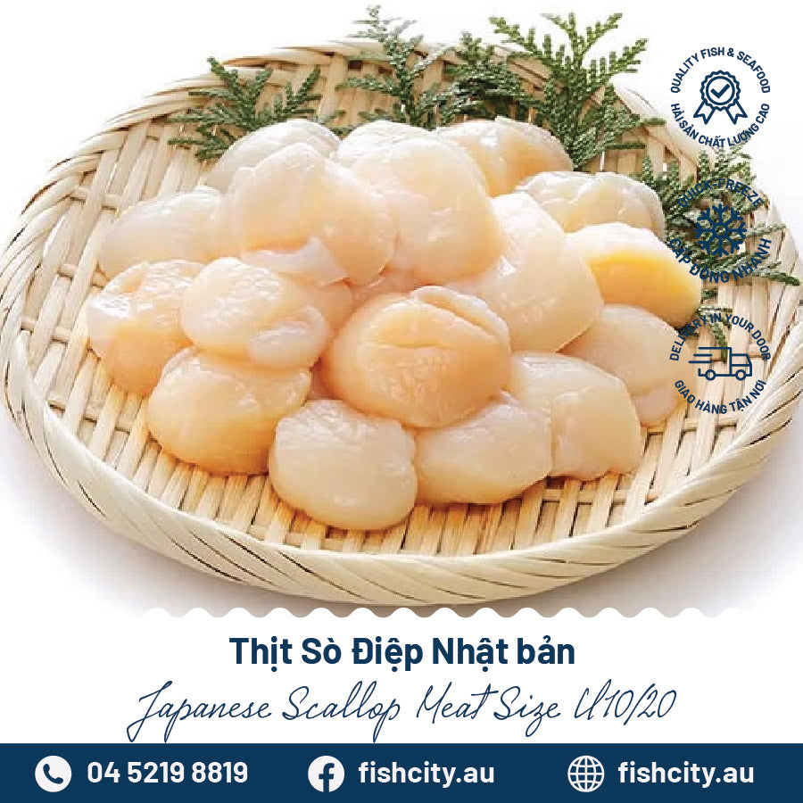 Japanese Scallop Meat Size U10/20 – Fishcitysydney
