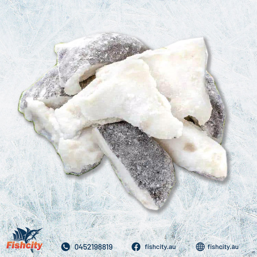 Toothfish Collars – Fishcitysydney